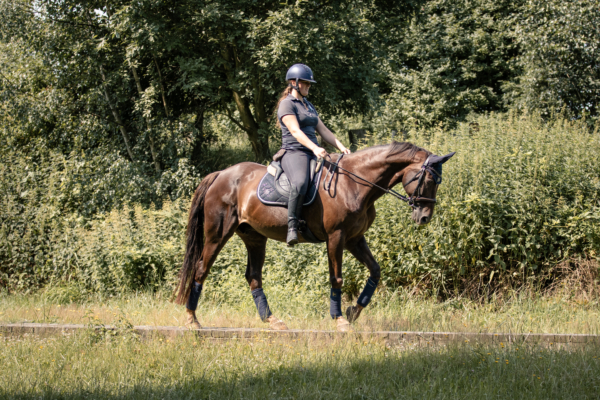 Extreme Trail - Gut Heinrichshof