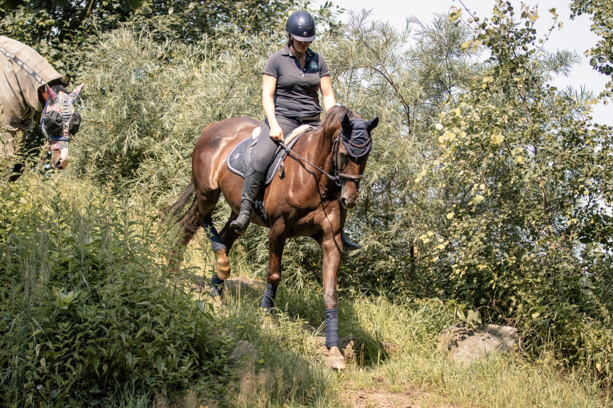 Extreme Trail - Gut Heinrichshof