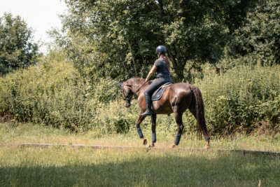 Extreme Trail - Gut Heinrichshof