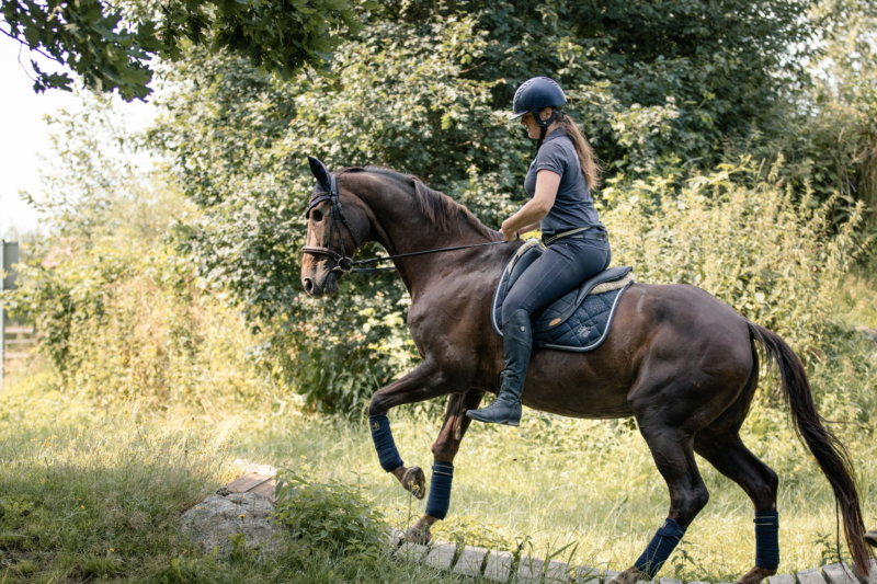 Extreme Trail - Gut Heinrichshof